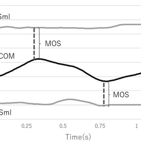 Calculation Of The Margin Of Stability Download Scientific Diagram