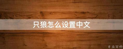 只狼怎么设置中文 业百科