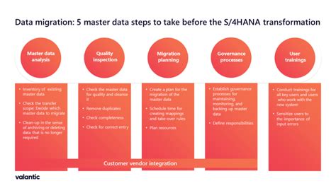 Managing Data Migration Master Data Steps