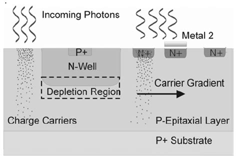 Photo Detection Structures Available In A Standard CMOS Process Download Scientific Diagram