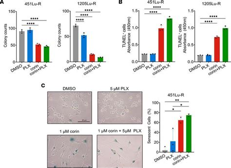 Jci The Corest Repressor Complex Mediates Phenotype Switching And