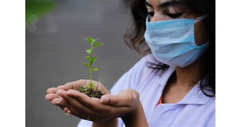 Вертикалното земеделие трябва да бъде признато от пазара Български Фермер