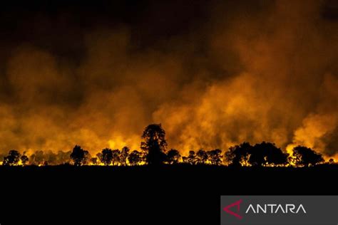 Kebakaran Hutan Dan Lahan Di Kalsel Semakin Meluas ANTARA News