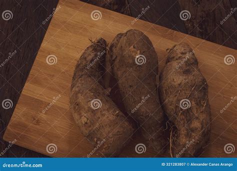 Yam Or Edible Yam Tuber Dioscorea Healthy Food Stock Image Image