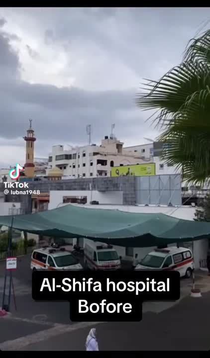 Mufti Syed Zahid Siraj On Linkedin Apartheid Israel Guardians