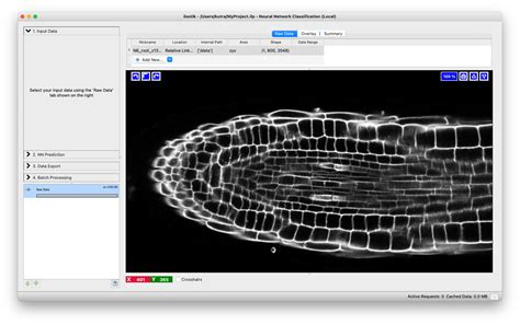 Ilastik Neural Network Classification