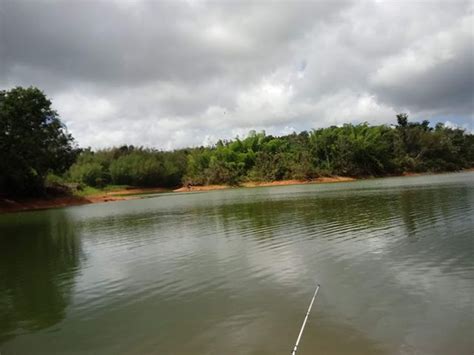 Best 9 Things To Do In Lago De Cidra San Juan