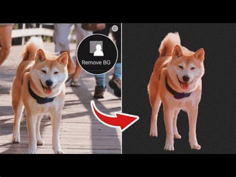 Python 圖片自動去背程式 YouTube