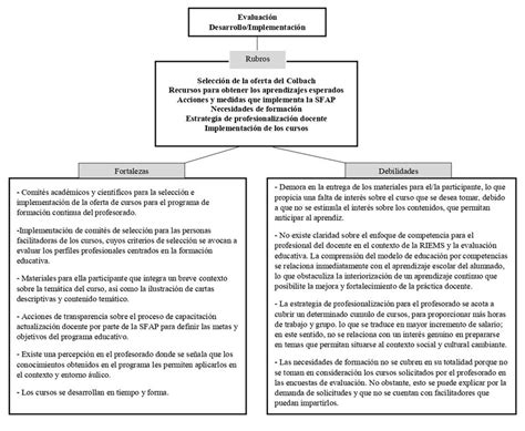 Fortalezas y debilidades en el desarrollo implementación del programa