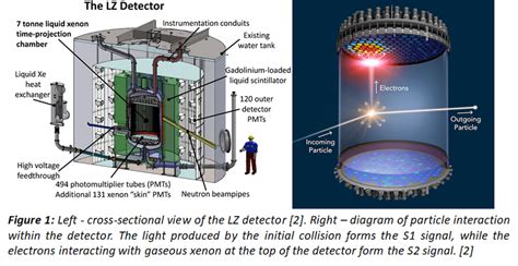 Left Cross Sectional View Of The Lz Detector 3 Right Diagram Of