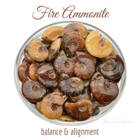Blisscrystals Posted To Instagram Now Available Online Fire Ammonite
