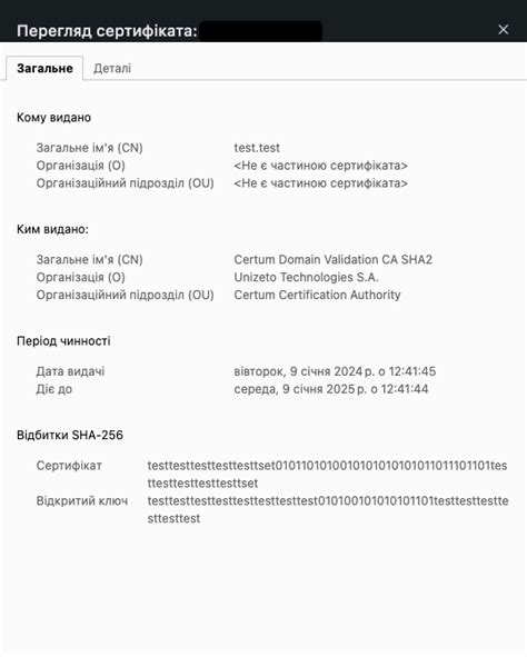 Какие бывают Ssl сертификаты Преимущества и недостатки каждого типа