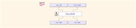 What Is Ulimit In Linux Scaler Topics