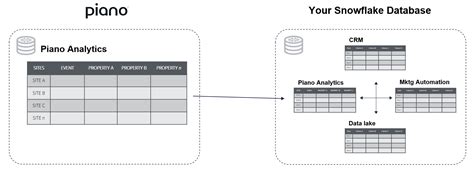 Introduction Data Schema And Access Piano Support