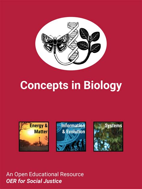 Biological Macromolecules Concepts In Biology