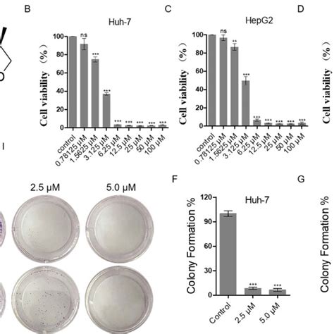 Dihydrotanshinone I Inhibits The Proliferation Of Hcc Cells A The