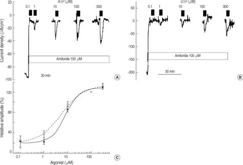 Dose Response Relationships Of Atp A And Utp B In The Presence Of