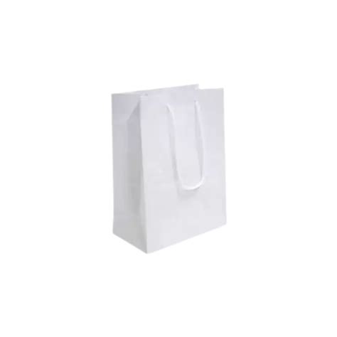 Sacola Surpresa Mini 10x16cm 10 Unidades Tema Festa Escolha A Cor Branco