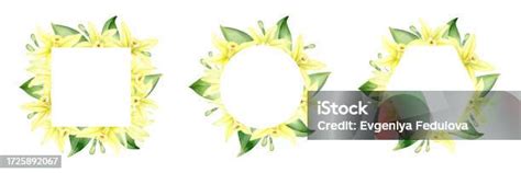 노란색 바닐라 꽃의 프레임 세트입니다 열대 이국적인 꽃과 화환입니다 수채화 삽화 격리 요리용 향료 인사말 카드 엽서 스크랩북 포장 디자인 0명에 대한 스톡 벡터 아트 및