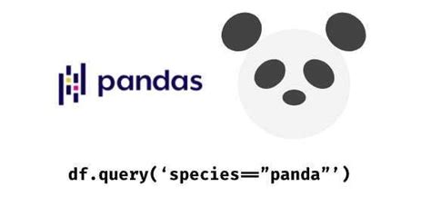 10快速入门query函数使用的pandas的查询示例 知乎