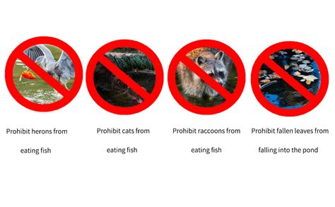 Bretoes Pond Protection Net Plastic Net Cover Floating On The Water To Protect The Pond From