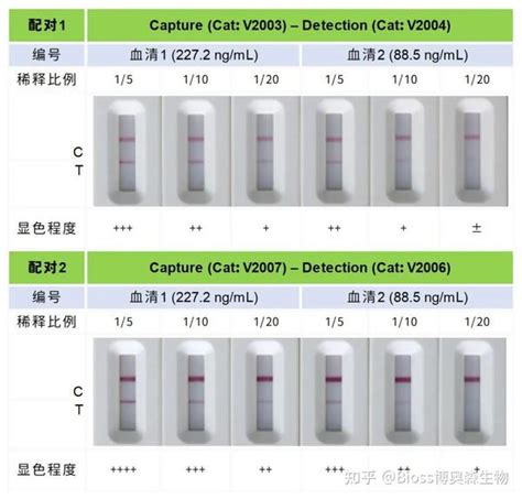 重点推荐丨高灵敏度肿瘤相关afp配对抗体！ 知乎