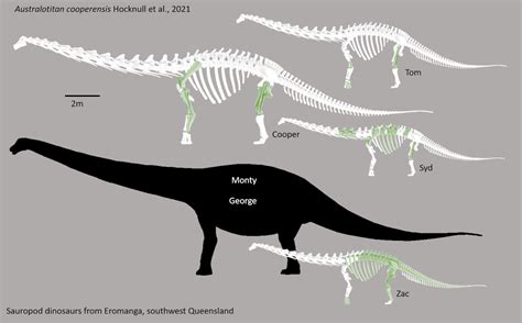 Geol 104 Sauropodomorpha Size Matters
