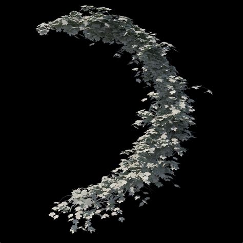 아이비 크레 센트 3d 모델 19 Fbx Ma Obj Max Unknown Free3d