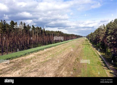 A Path In The Forest Shows The Route Of The Eugal Pipeline Hydrogen Could Be Transported Via