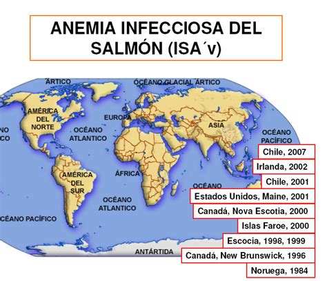 Salmonenchile ANEMIA INFECCIOSA DEL SALMÓN ISA