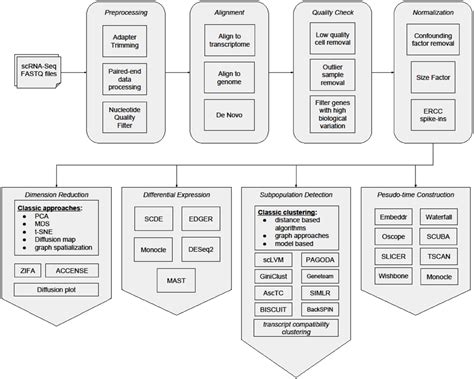 Frontiers Single Cell Transcriptomics Bioinformatics And Computational Challenges