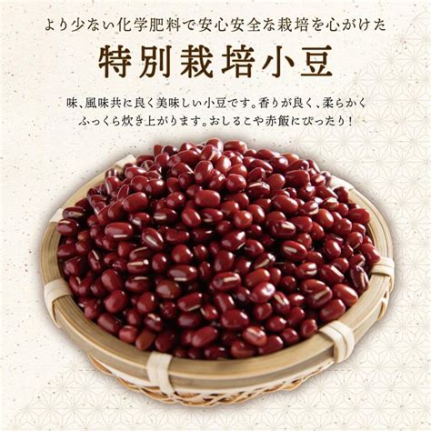 特別栽培小豆 10kg 令和6年収穫 北海道十勝産 【業務用】 メガ盛り 10キロ 特別栽培農産物 えりも小豆 小豆 国産小豆 乾燥小豆