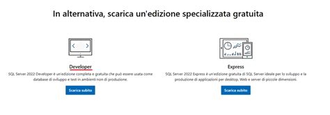 Create A Stored Procedure With Sql Server Dev Community
