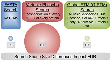 Global Identification Of Protein Post Translational Modifications In A Single Pass Database