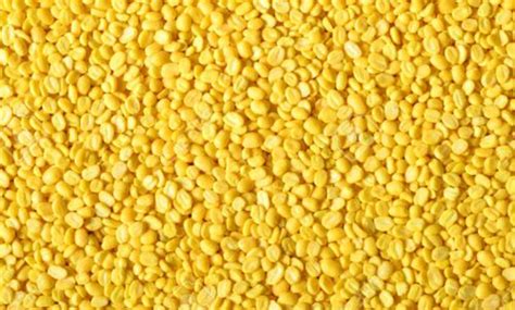 Dhuli Moong Dal At Best Price In Navi Mumbai New Company Shanmuk
