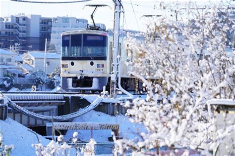 東急電鉄 こどもの国線 長津田恩田 鉄道ホビダス