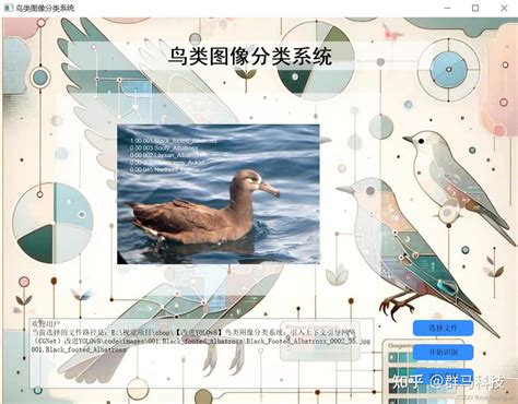【改进yolov8】鸟类图像分类系统：引入上下文引导网络（cgnet）改进yolov8 知乎