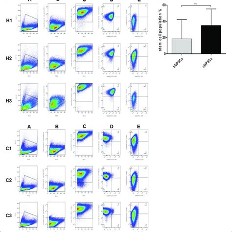 A Gating Strategy Identifies Cd90cd105cd146cd31−cd45−