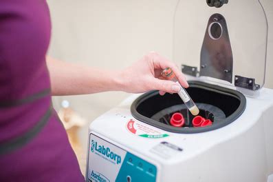 Thyroid Testing And Functional Medicine Aligned Modern Health