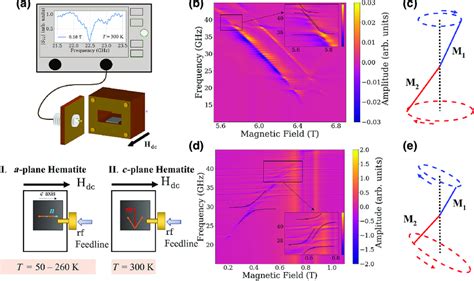 Cavity Photon Magnon Polaritons In The Collinear And Canted Phase Of