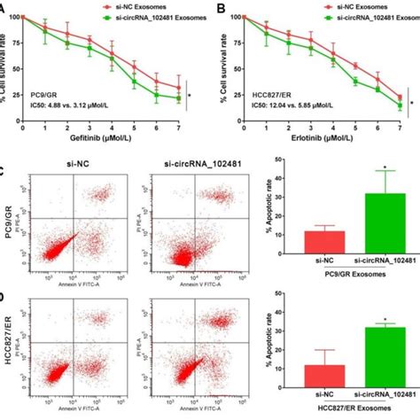 Functional Validation Assay Of Exosomes Circrna102481 On Egfr Tkis Download Scientific Diagram