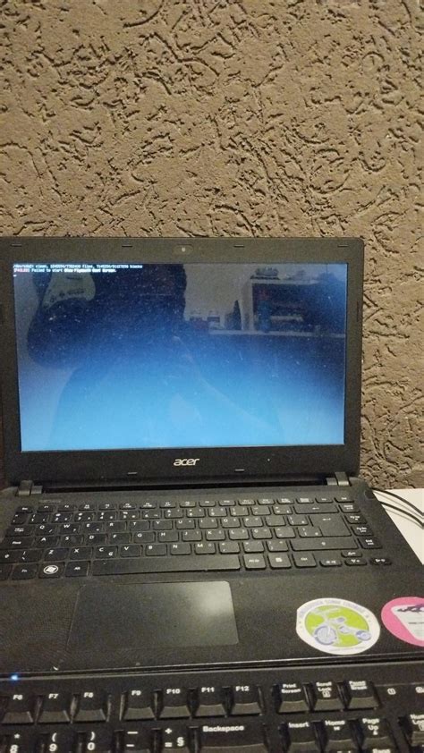 linux mint isn t booting up it just stays with the logo blinking r