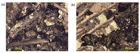 The Rehbinder Effect In Testing Saturated Carbonate Geomaterials