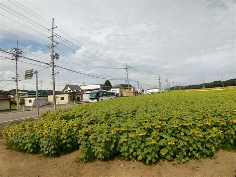 新北の男子 秋田県北発