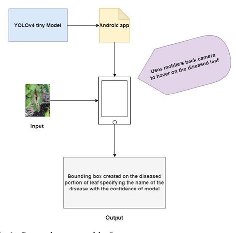 Figure 1 From Identification And Classification Of Plant Leaf Diseases