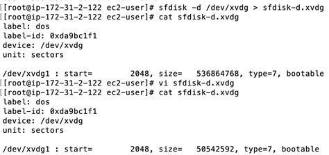 amazon web services reducing the size of ebs root volume windows