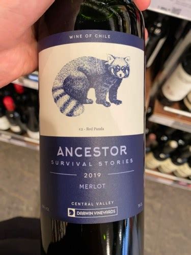 Darwin Vineyards Ancestor Merlot | Vivino US