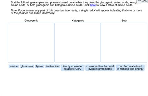 Solved Sort the following examples and phrases based on | Chegg.com
