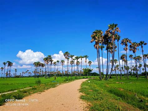 သဘာဝရှုခင်းပုံများ