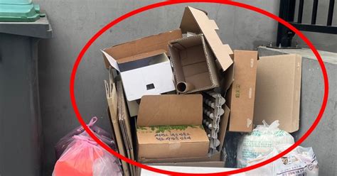 문구점 다 망했다” 공책 한권도 주문택배 쓰레기 어마어마 지구 뭐래